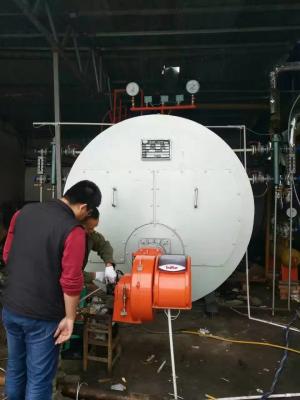 Cina Caldaia ambientale del vapore a bassa pressione, fornace del vapore del gas per la serra in vendita