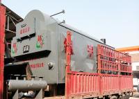 China Automatic Feeding Coal Fired Steam Boiler Vertical Horizontal Lifting for sale