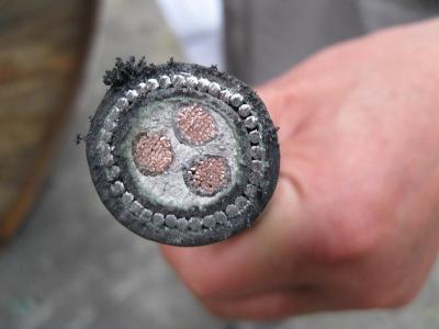 Cina Cavo di alimentazione elettrica isolato XLPE non blindato / blindato a singolo / più nuclei 9 in vendita