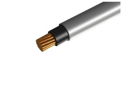 Cina Il singolo centro ha incagliato il conduttore di rame 1,0 dei cavi isolato PVC a 400sqmm in vendita