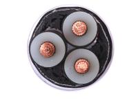 China Medium Voltage XLPE Insulated Power Cable Multiple Core Flexible Cable for sale