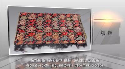 China Vertical shaft 650 RPM  High Speed Electronic Jacquard Machine Rapier Loom for sale