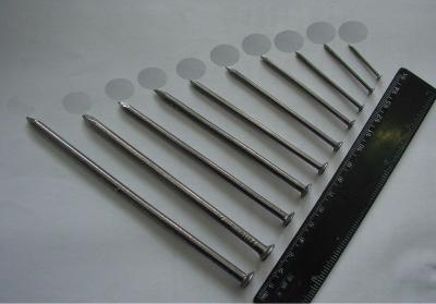 China good quality galvanized concrete nail for sale for sale