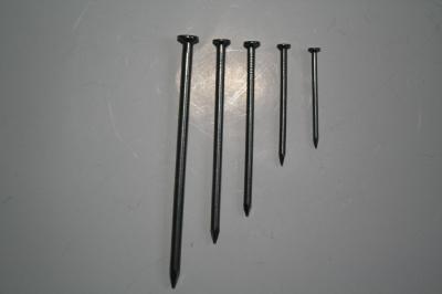 China buliding material galvanized concrete nail for sale for sale