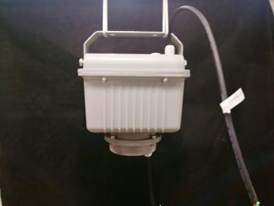 Cina sollevatore leggero elettrico 15Kg in vendita