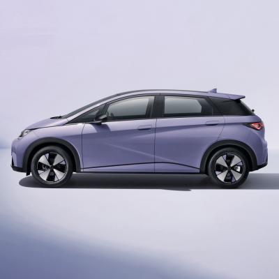 Cina Veicoli a schiera completamente elettrici Dolphin 5 posti batteria al litio ferro fosfato in vendita