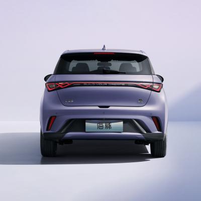 Cina Veicoli a schiera completamente elettrici Dolphin 5 posti batteria al litio ferro fosfato in vendita
