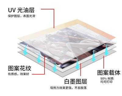 중국 유연 UV Dtf 인쇄기 DTF 전송 기계 F1080 머리 너비 300mm 판매용