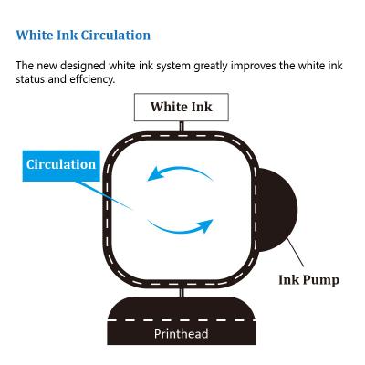 China Desktop 300mm DTF Transfer Inkjet Machine Tshirt Printer with F1080 XP600 Head for sale