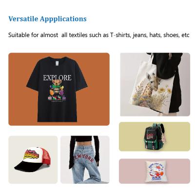 China Desktop 300mm DTF Transfer Inkjet Machine Tshirt Printer with F1080 XP600 Head for sale