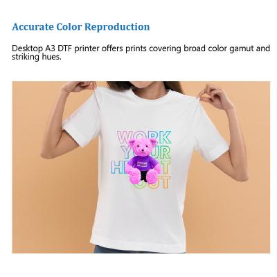 China Desktop 300mm DTF Transfer Inkjet Machine Tshirt Printer with F1080 XP600 Head for sale