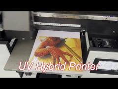 UV-Druckmaschine Hybrid-Digital 300 mm Schreibtischkarte Botella Acrylica LED-Druckmaschine UV-Druckmaschine Flachkammer