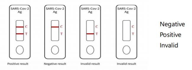 NCoV Rapid Covid Test Kit Immunochromatography Sample Requirements 2