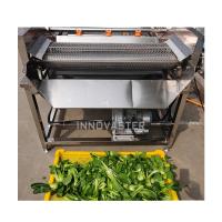 China Automatic Vegetable Washer Fruit Washer Peanut Bubble Cleaning Machine 500kg Capacity for sale