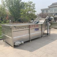 China Automatic Vegetable Washer Fruit Washer Peanut Bubble Cleaning Machine 500kg Capacity for sale
