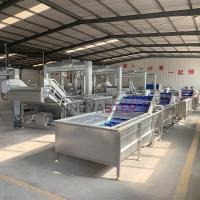 China Automatic Vegetable Washer Fruit Washer Peanut Bubble Cleaning Machine 500kg Capacity for sale