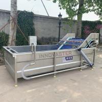 China Automatic Vegetable Washer Fruit Washer Peanut Bubble Cleaning Machine 500kg Capacity for sale