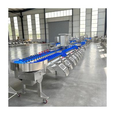 中国 220V/380V 自動 魚 オイスター 野菜 マンゴ アボカド 市場用 体重計 販売のため