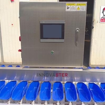 China 220V/380V Automatic Sea Cucumber Chicken Feet Weight Sorting Machine for Food Market for sale