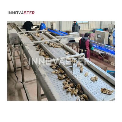 China 2500W Zeevruchten Vissen Garnalen Gewicht Sorteren Wassen Oester Sorteren Machine 6000x1250x1750mm Te koop
