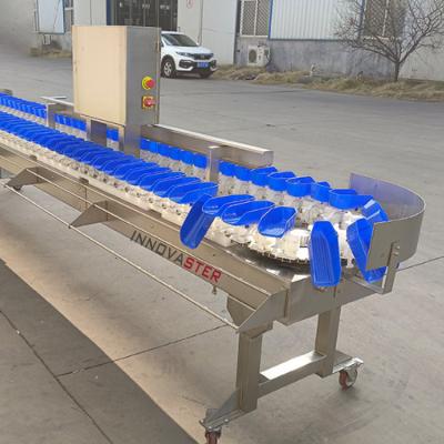 China 2500W Zeevruchten Vissen Garnalen Gewicht Sorteren Wassen Oester Sorteren Machine 6000x1250x1750mm Te koop