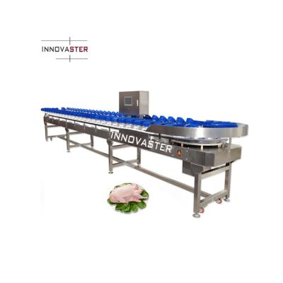 China Voltage 220V/380V Conveyor Belt Chicken Fish Oyster Lemon Sweet Potato Weight Sorting Machine for sale
