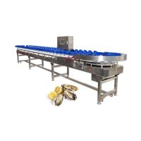 China Conveyor Belt Weight Sorting Machine 50-5000g 120-160pcs/min for Fruits Vegetables Seafood for sale