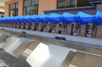 China Multi-Tray Weight Sorting Machine 12 Tray High Speed Oyster Fish Grader for sale