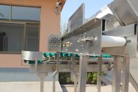 China High Speed Multi-Tray Rotary Weight Oyster Fish Sorting Machine 10 Grade 60 Pcs/min for sale