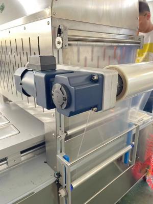 China Food Beverage 410*320*290mm Modified Atmosphere Vacuum Box RTE Food Packaging Machine for sale