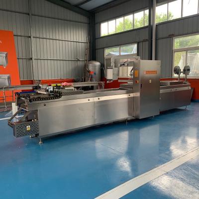 China Panasonic Frequency Converter Automatic Continuous Vacuum Thermoforming Sealing Machine for sale