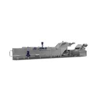 China Stainless Steel Automatic Vegetable Fruit Blanching Precooking Machine 500-3000kg/h for sale