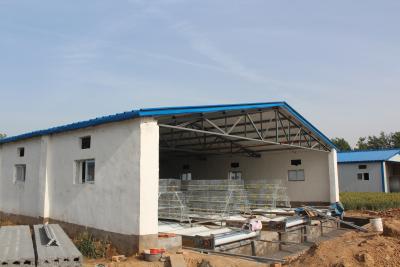 China 200 Chickens A Type Baby Chick Cage Include Automatic Drinking System for sale