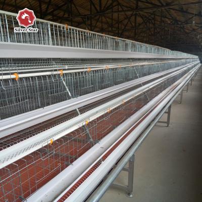 中国 フル オートマチック システム養鶏場が付いている形電池の鶏のおり 販売のため