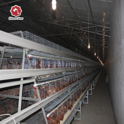China 3 Tiers 4 Tiers Layer Chicken Battery Cage In Poultry Farm A Type for sale