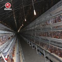 China Automatic Feeding System for Hens Layer Egg Chicken Cage 120 Birds A Type 3 Tiers for sale