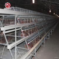 China New Type Battery Chicken Cage with Automatic Manure Cleaning System 120 Birds per Set for sale