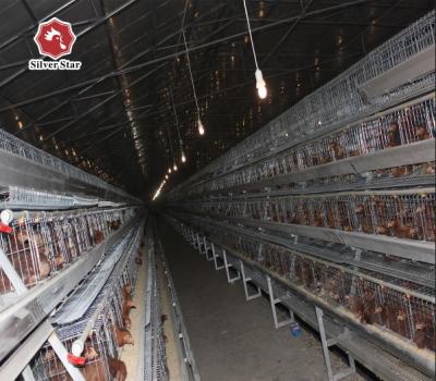 中国 120容量の熱く、冷たい電池の鶏のおりAのタイプ 販売のため