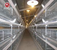 China Fully Automatic H Type Layer Chicken Cage 9 Birds per Cell 3-8 Tiers for sale