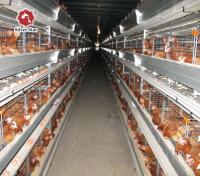 China Fully Automatic H Type Layer Chicken Cage 9 Birds per Cell 3-8 Tiers for sale