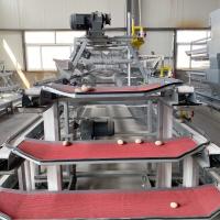 China A type Layer Cage for sale