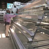 China A type Layer Cage for sale