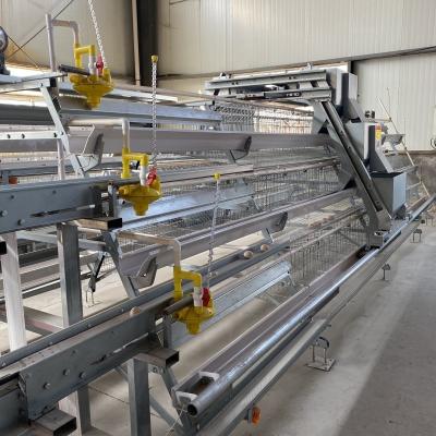 China Een de Kippenkooi van de Typebatterij voor Automatisch Gevogelte 5Tiers Q235A Te koop