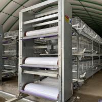 China Automatic A Type Battery Layer Chicken Cage 3 Tiers 90-120 Birds Q235 Steel for sale
