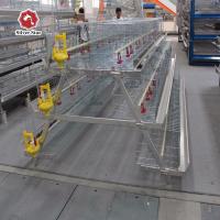 China Galvanized A Type Broiler Pullet Breeder Chicken Cage 3 Tier 180 Birds Capacity for sale