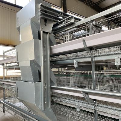 中国 適性のある中型肉鶏のケージは 小さいチキーの効率的な管理を保証します 販売のため