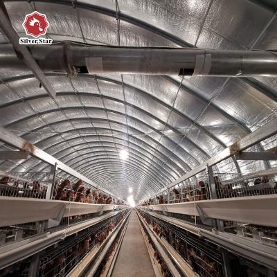 中国 溶融亜鉛メッキ H 型自動層鶏ケージ システム 販売のため