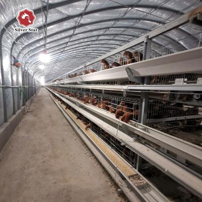 Chine H Type Layer Chicken Cage Hot Dipped Galvanised Chicken Farm à vendre