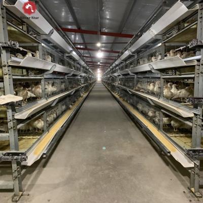 China 3 Tiers 4 Tiers H Type Broiler Poultry Farm Automatic Chicken Broilers Cage System for sale