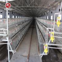 China Galvanized A Type Broiler Pullet Breeder Chicken Cage 3 Tier 180 Birds Capacity for sale